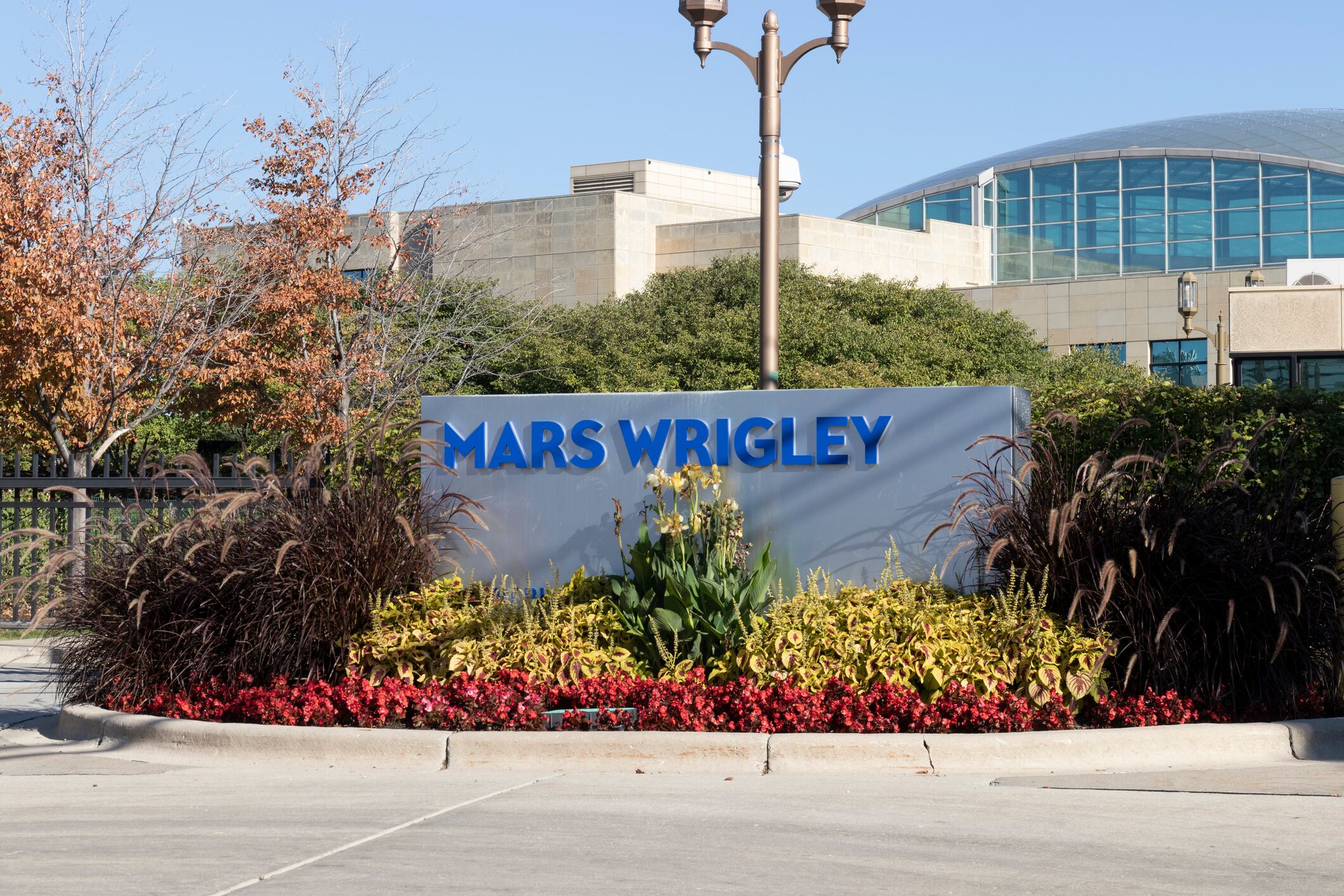 Mars names new digital executive as growth strategy ramps up